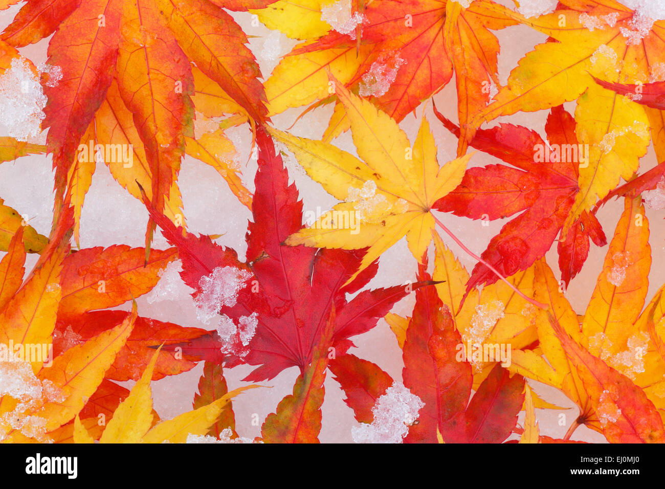 Colors and concepts hi-res stock photography and images - Alamy