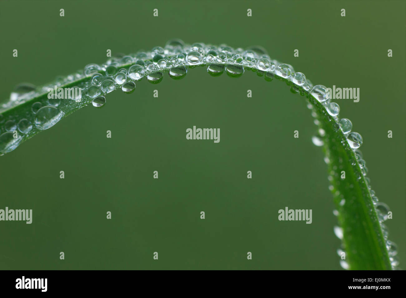 Rope pattern hi-res stock photography and images - Alamy