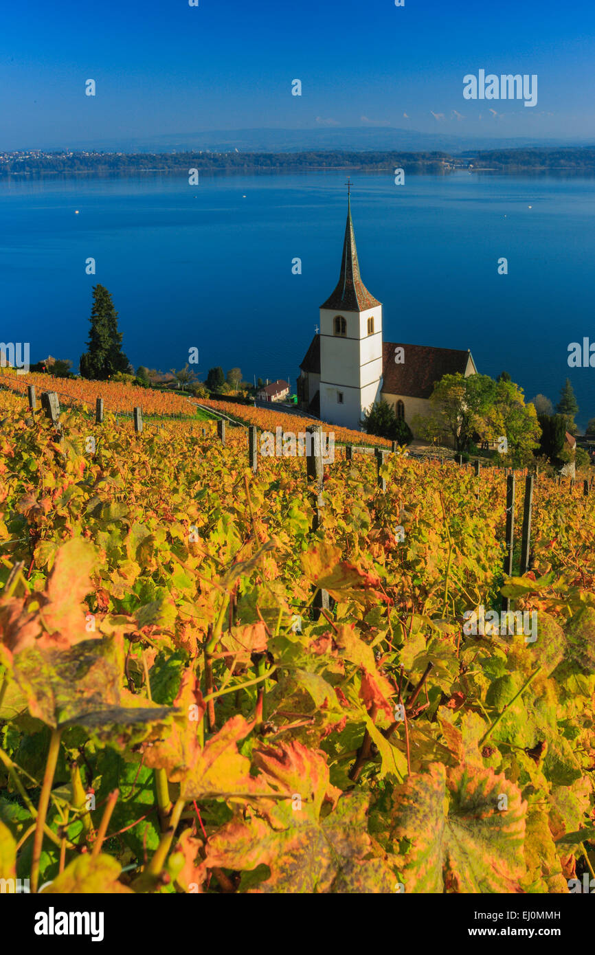 Alps, Alpine, panorama, mountains, mountain panorama, canton Bern, lake ...