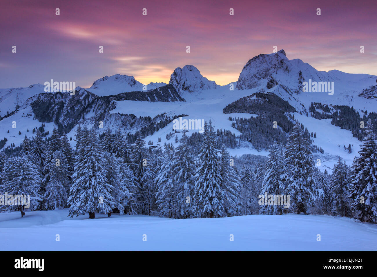 Alps, Alpine panorama, view, tree, tree border, mountain, mountains ...