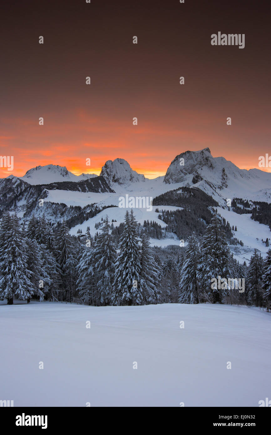 Alpine border hi-res stock photography and images - Alamy