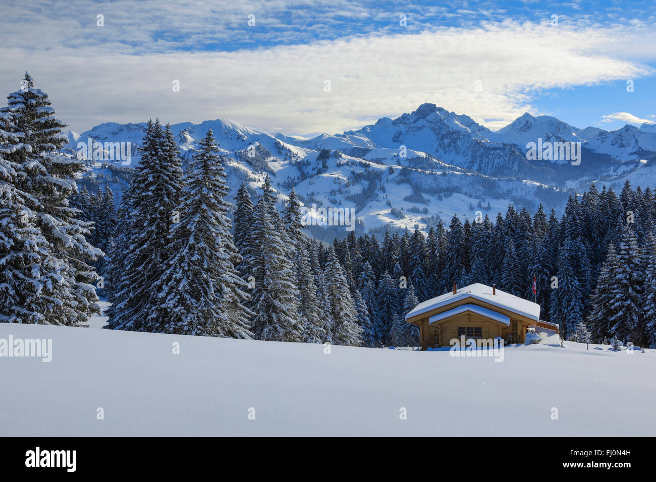 Alps, view, tree, mountain, mountain panorama, mountains, mountain ...