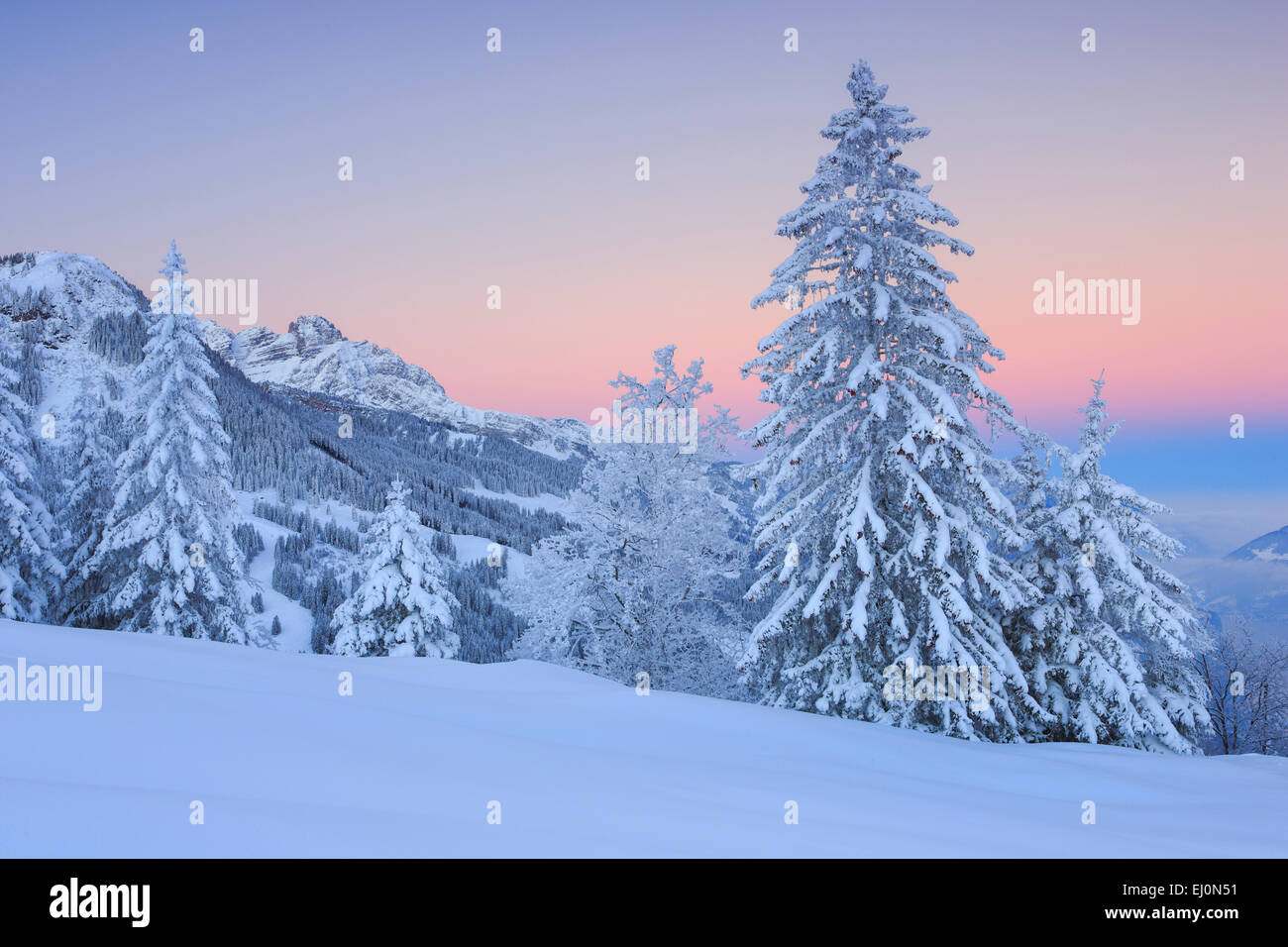 Alps, view, tree, mountain, mountain panorama, mountains, massif, trees ...