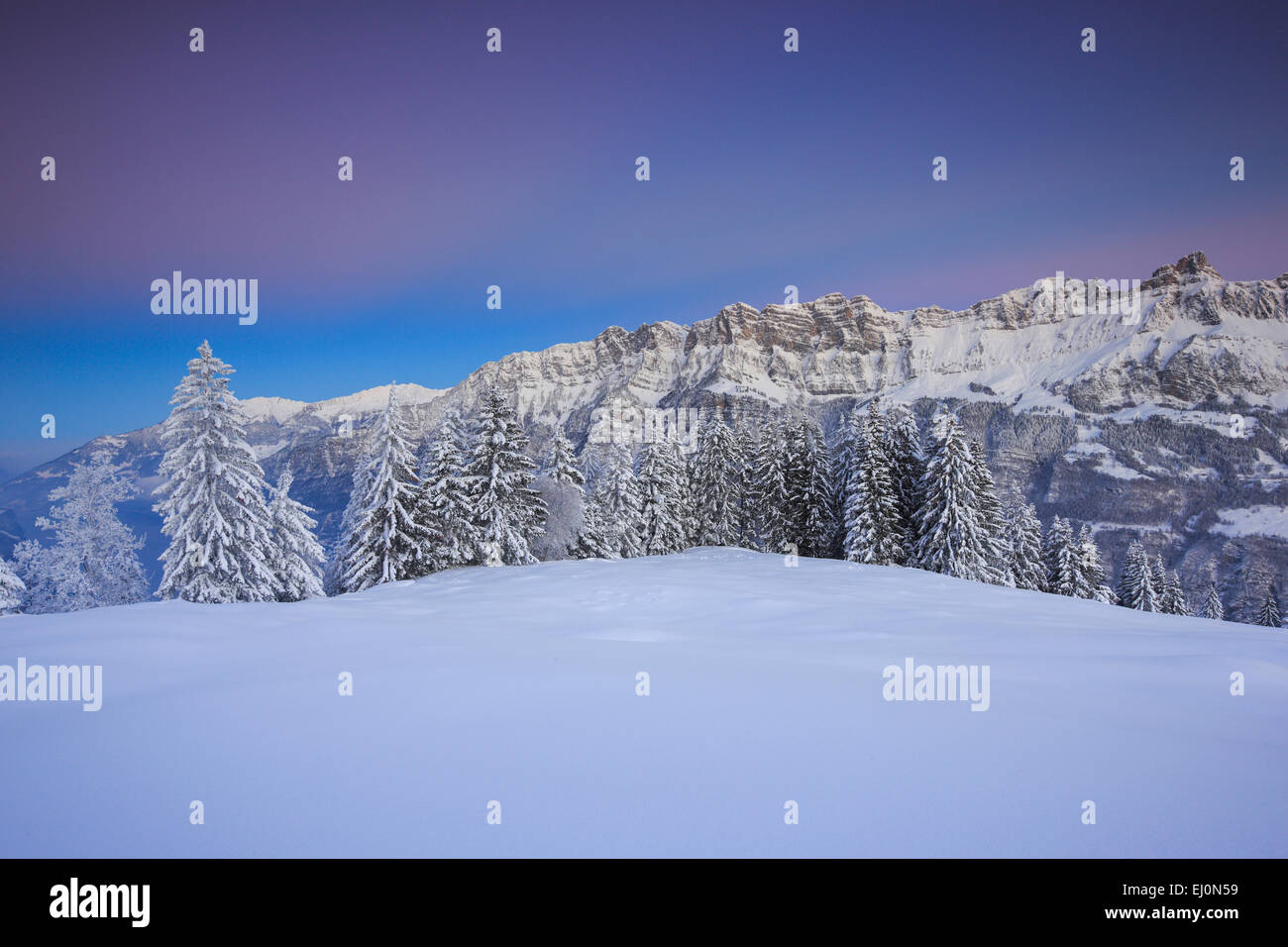 Alps, view, tree, mountain, mountain panorama, mountains, massif, trees ...