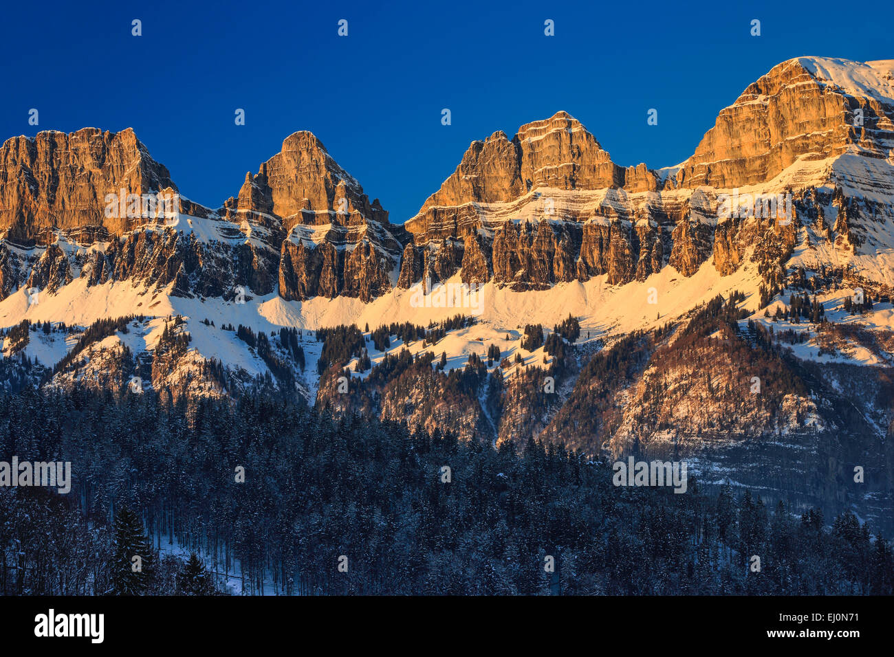 Alps, view, tree, mountain, mountain panorama, mountains, massif, Brisi ...