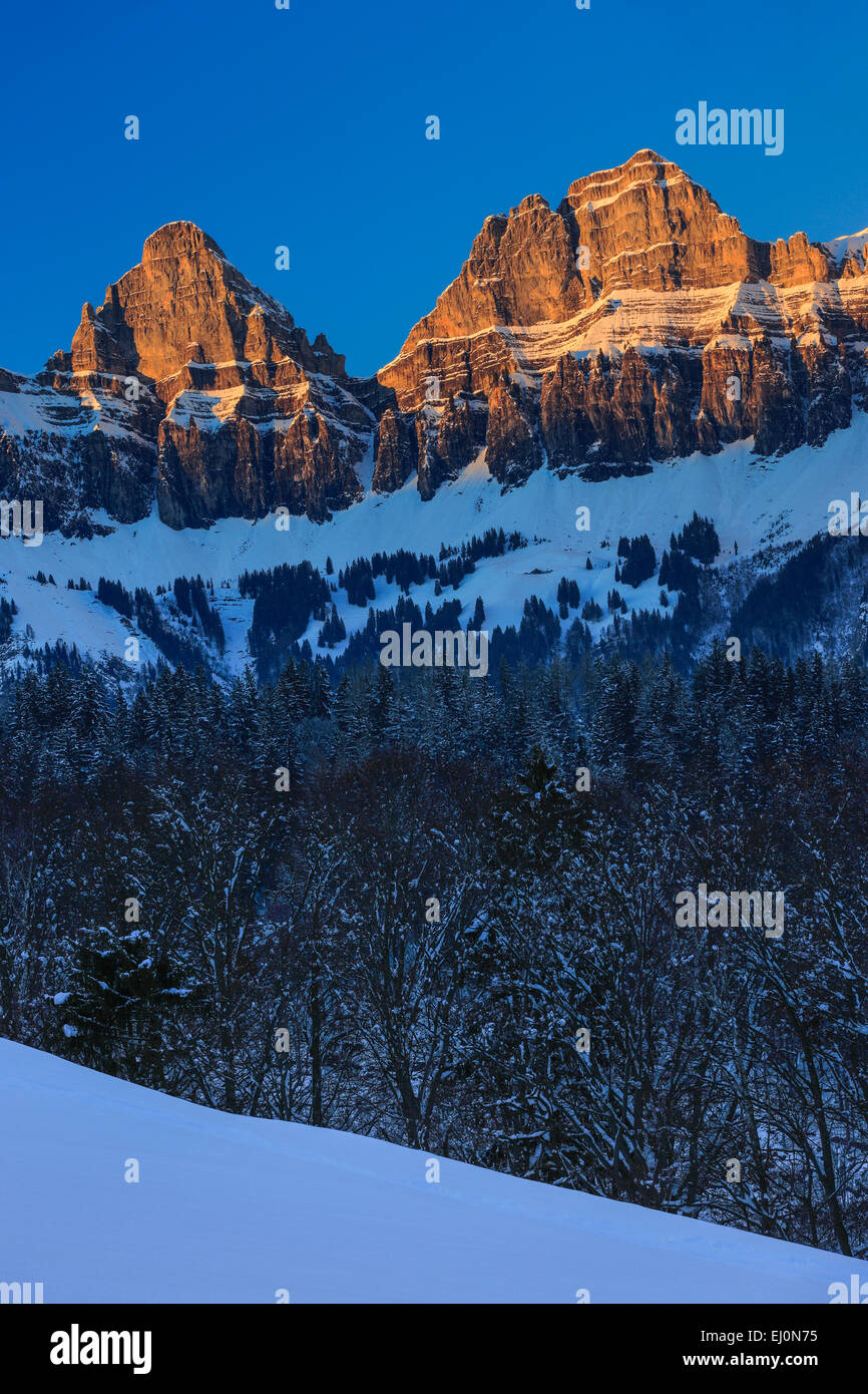 Alps, view, tree, mountain, mountain panorama, mountains, massif, trees ...