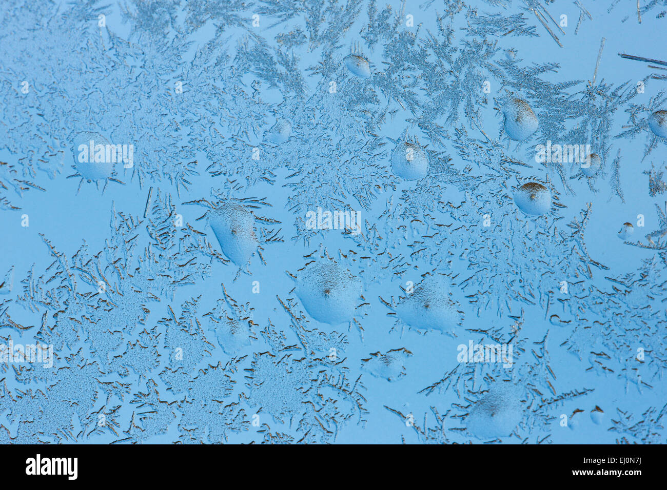 Detail, ice, frost flowers, windows, window pane, glass, cold, lines ...