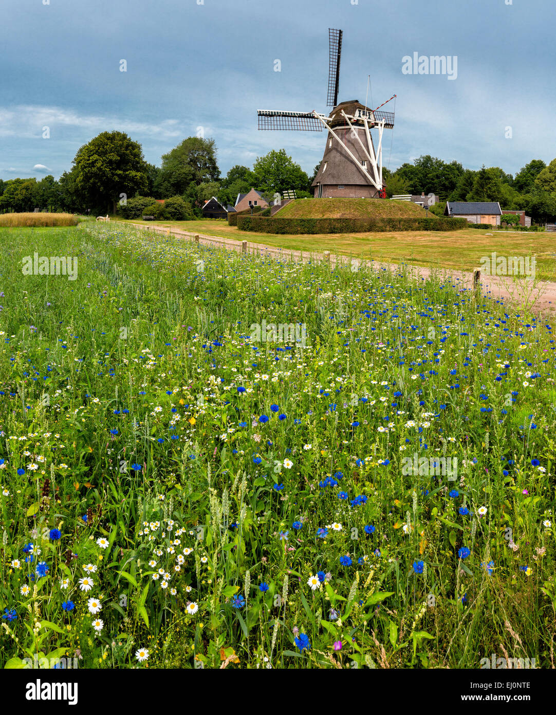 Drenthe netherlands europe hi-res stock photography and images - Alamy