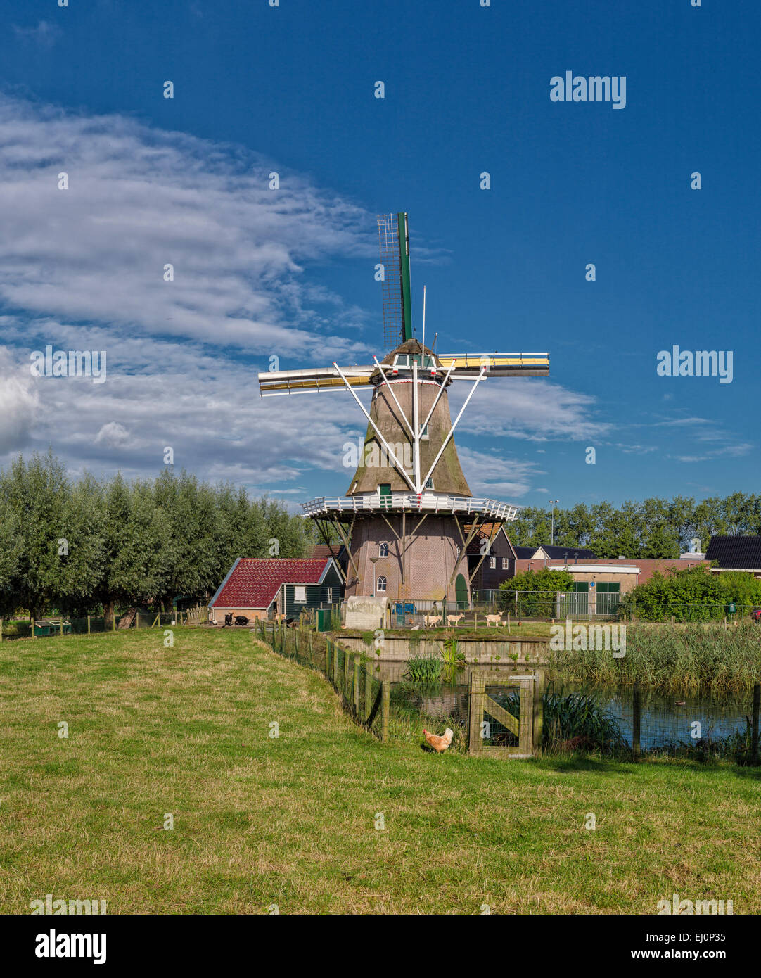 Netherlands, Holland, Europe, Stiens, Friesland, windmill, summer ...