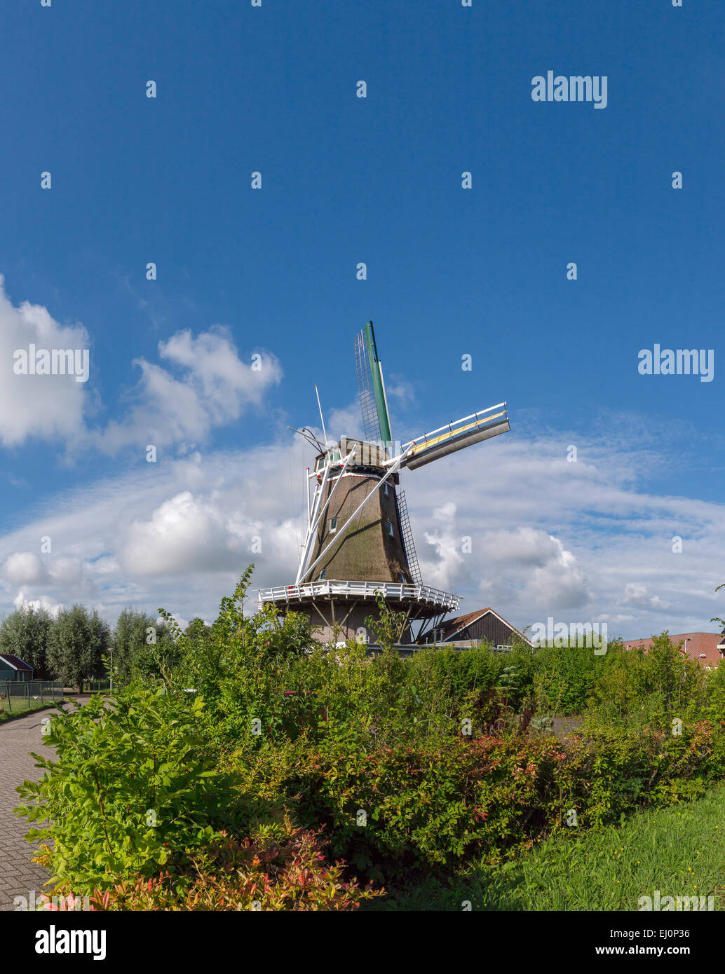 Netherlands, Holland, Europe, Stiens, Friesland, windmill, summer ...