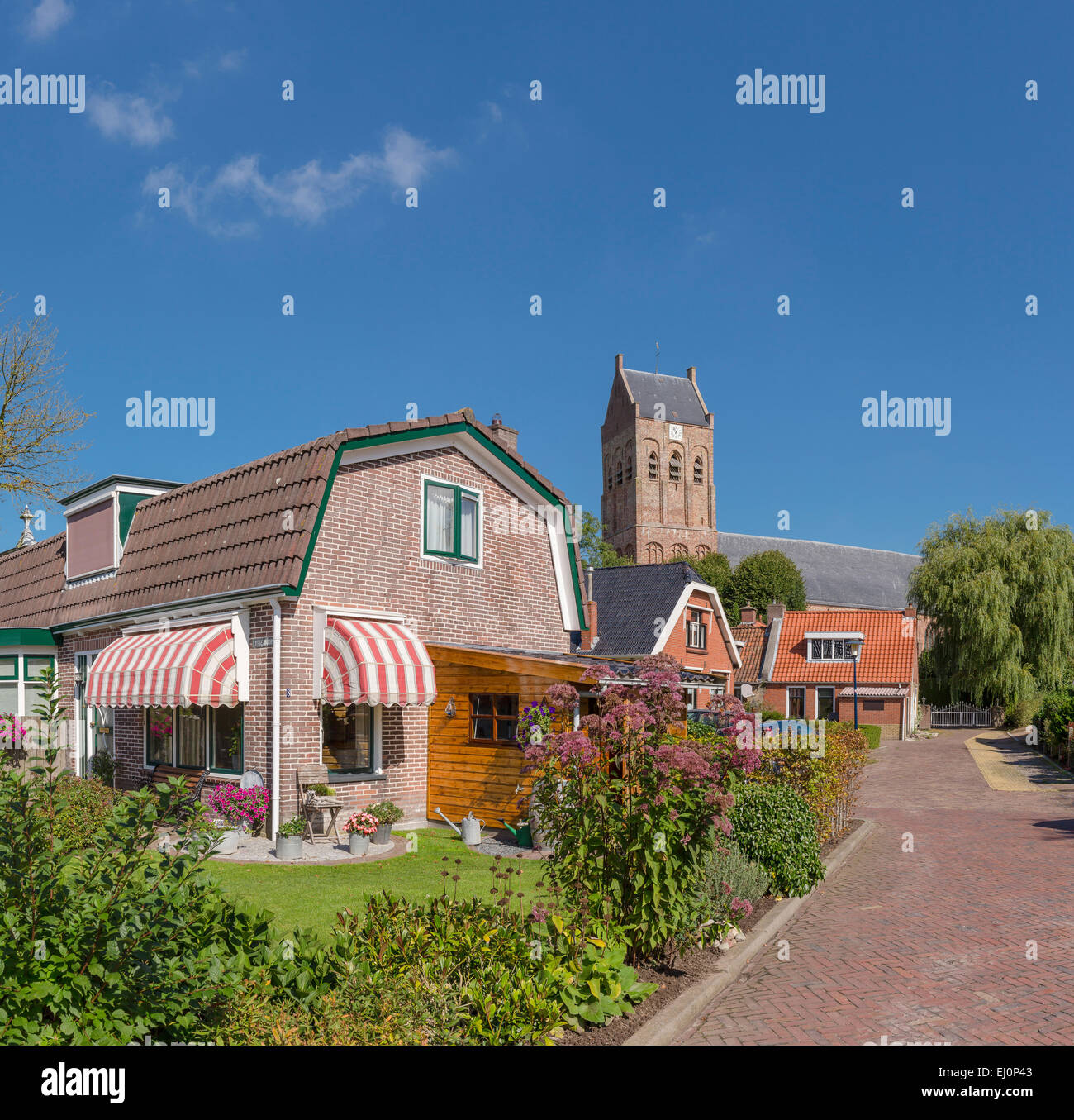 Netherlands, Holland, Europe, Ferwert, Friesland, village, flowers ...