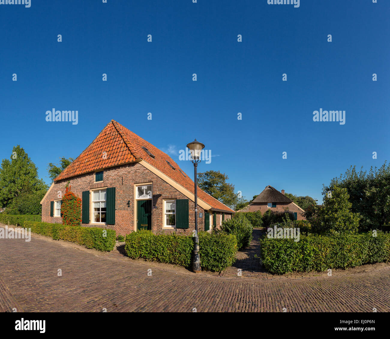 Netherlands, Holland, Europe, Bronkhorst, Gelderland, farm, summer ...