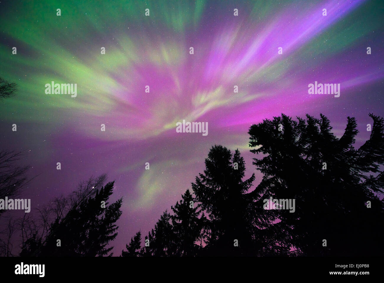 Colorful northern lights Stock Photo - Alamy