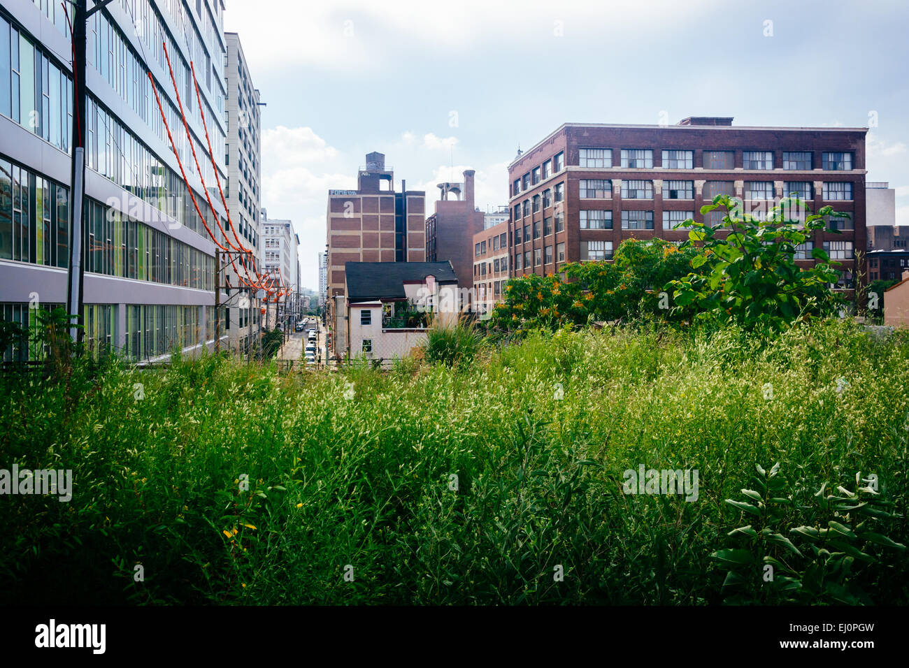 View of buildings from the Reading Viaduct, Philadelphia, Pennsylvania ...