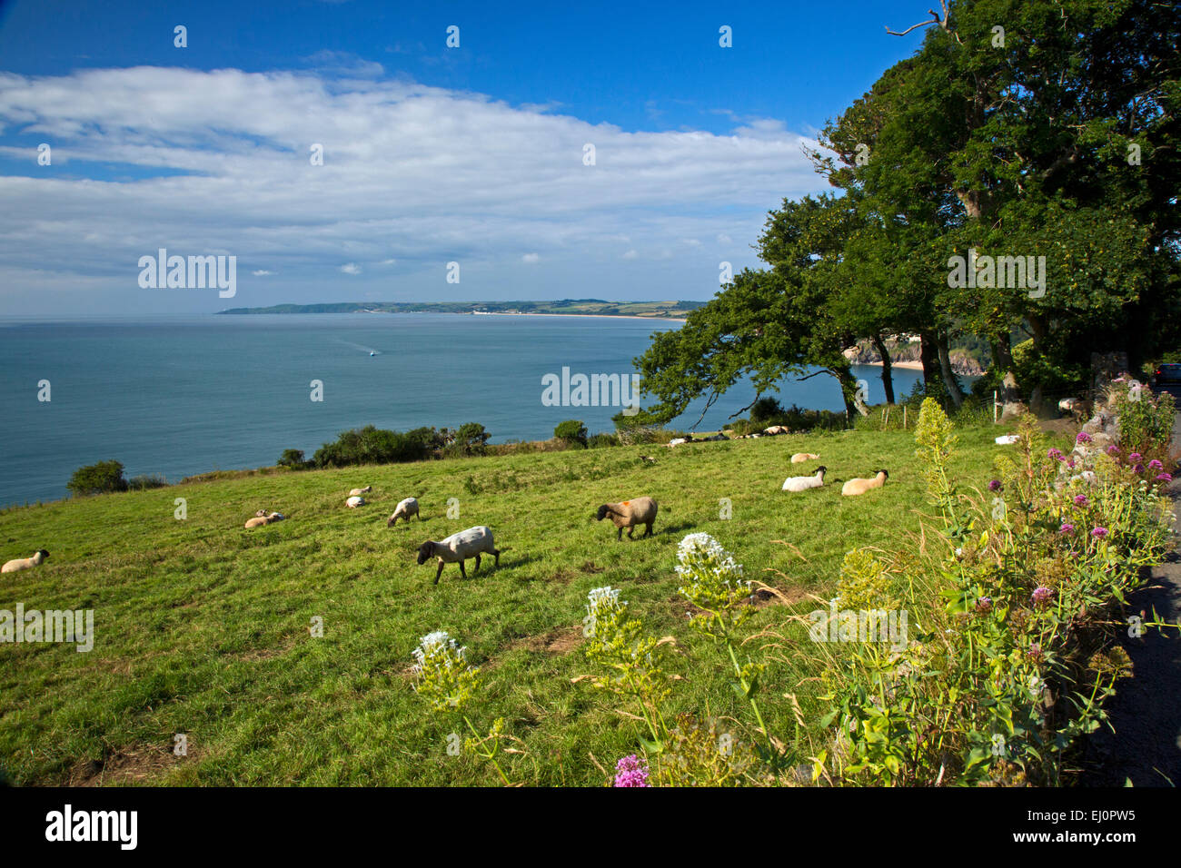 Start bay, Blackpool sands, south, Devon, South-West England, Britain ...