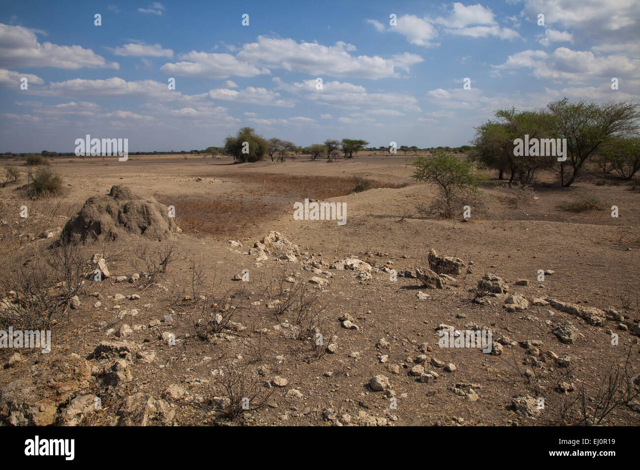 Africa, scenery, landscape, travel, Tanzania, East Africa, desert Stock ...