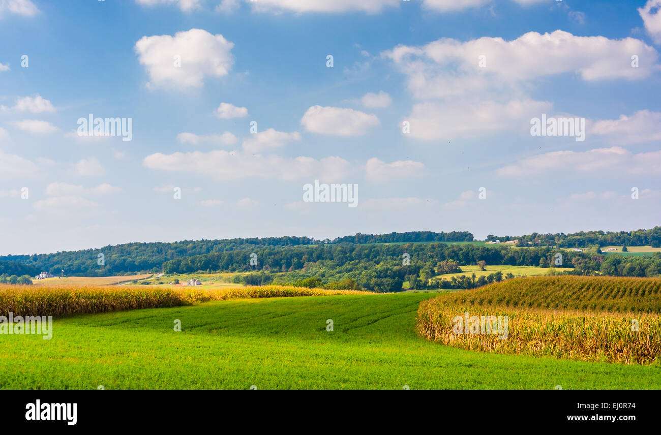 Pennsylvania farm fields corn hi-res stock photography and images - Alamy