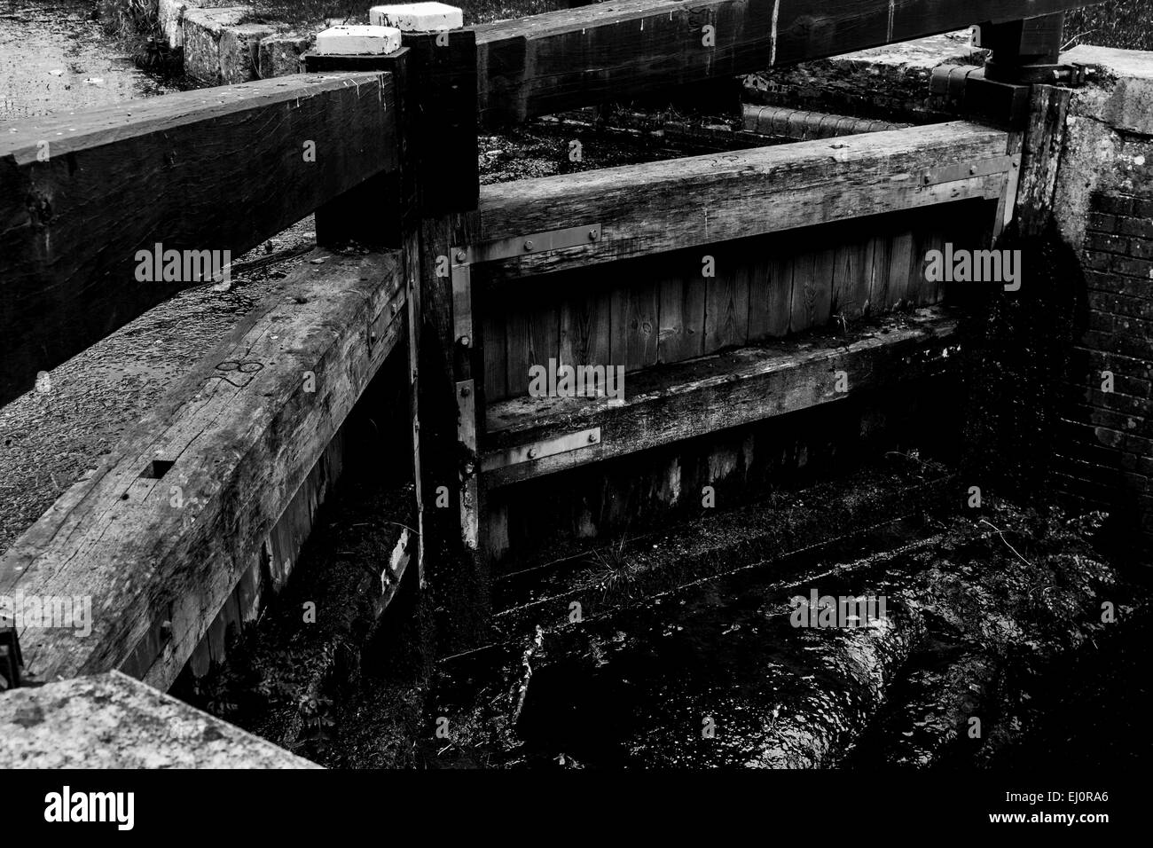 Closed lock gates on the Basingstoke Canal on the Deepcut Steps near ...