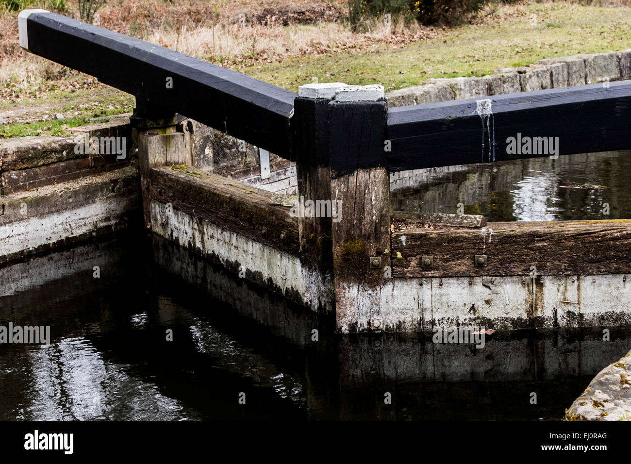 Closed lock gates on the Basingstoke Canal on the Deepcut Steps near ...