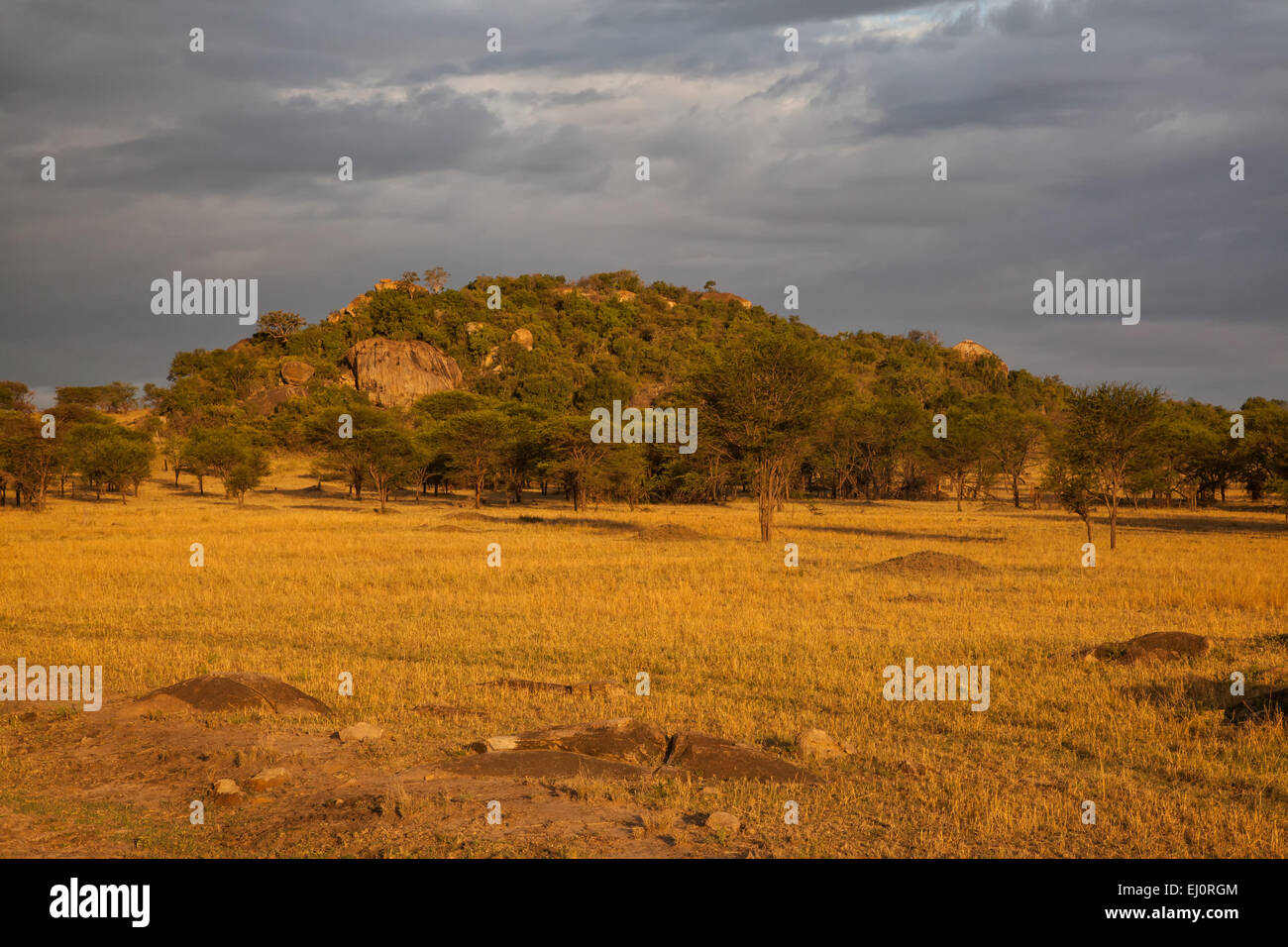 Africa, trees, rocks, cliffs, scenery, landscape, light, mood, travel ...