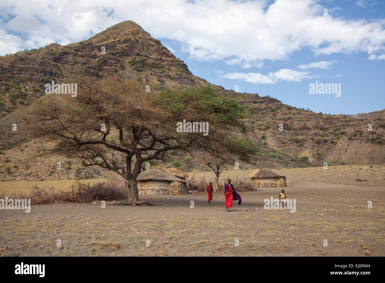 Tree houses children hi-res stock photography and images - Alamy