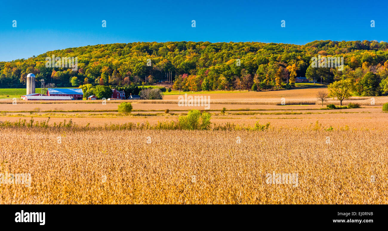 Hanover farms hi-res stock photography and images - Alamy