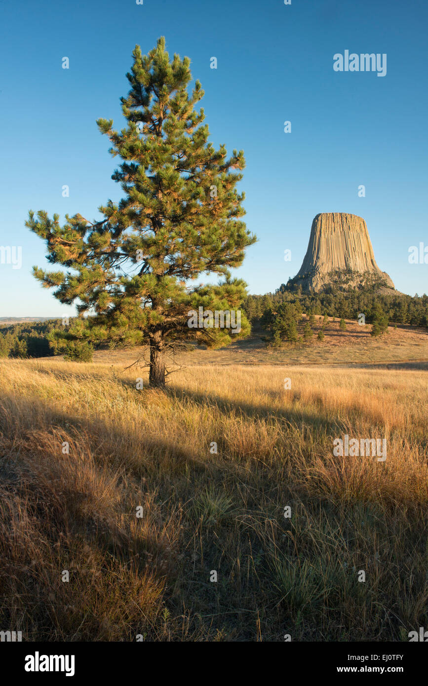 USA, United States, America, Wyoming, Devils Tower, National Monument ...