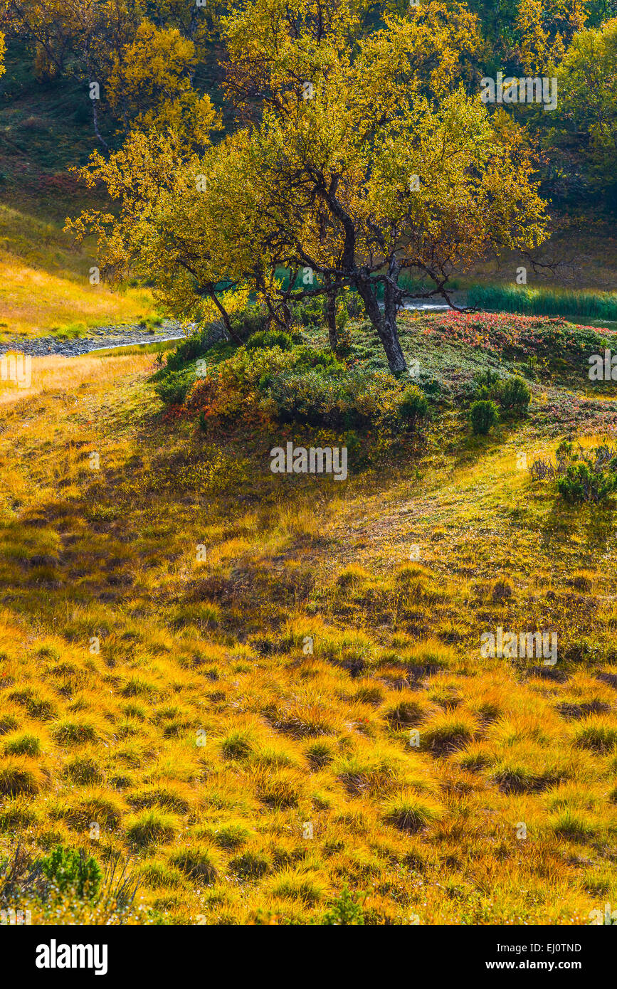 Autumnal landscape in northern Finland Stock Photo - Alamy