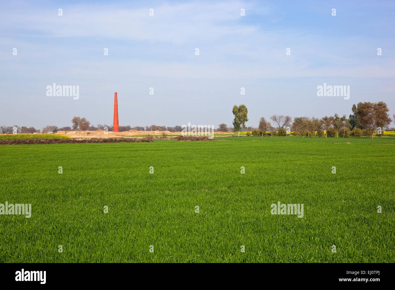 Punjabi farming hi-res stock photography and images - Alamy