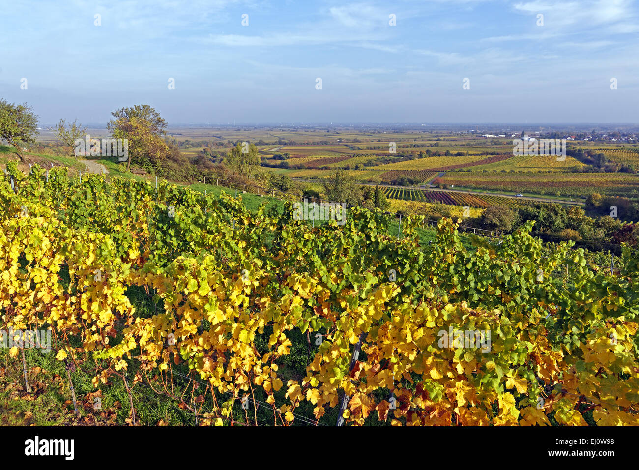 Plain scenery hi-res stock photography and images - Alamy