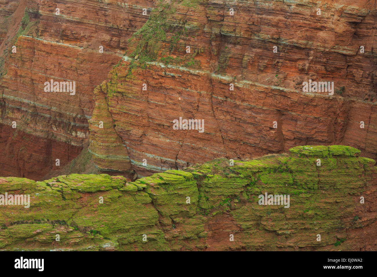 red sandstone, detail, Germany, Europe, main island, Helgoland, high ...