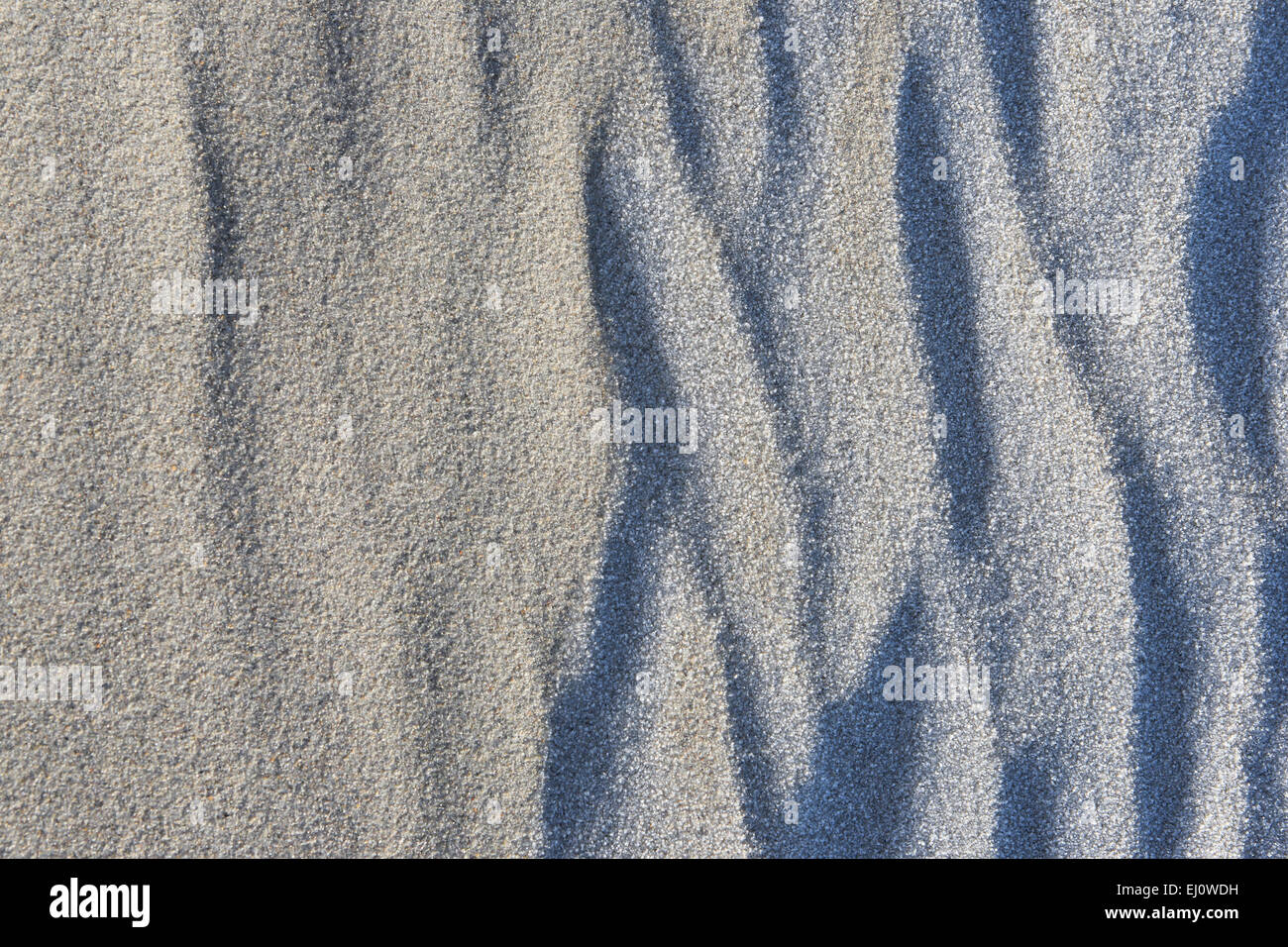 Detail, Germany, Europe, low, ebb, tide, ice, form, shape, forms ...