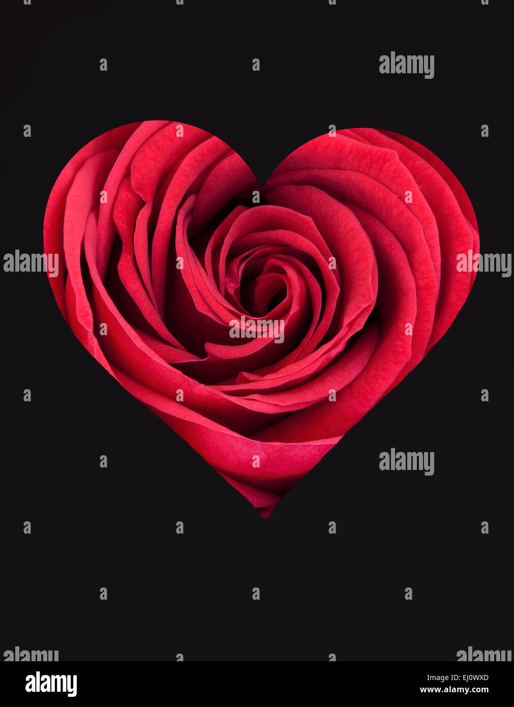 Rose heart hi-res stock photography and images - Alamy