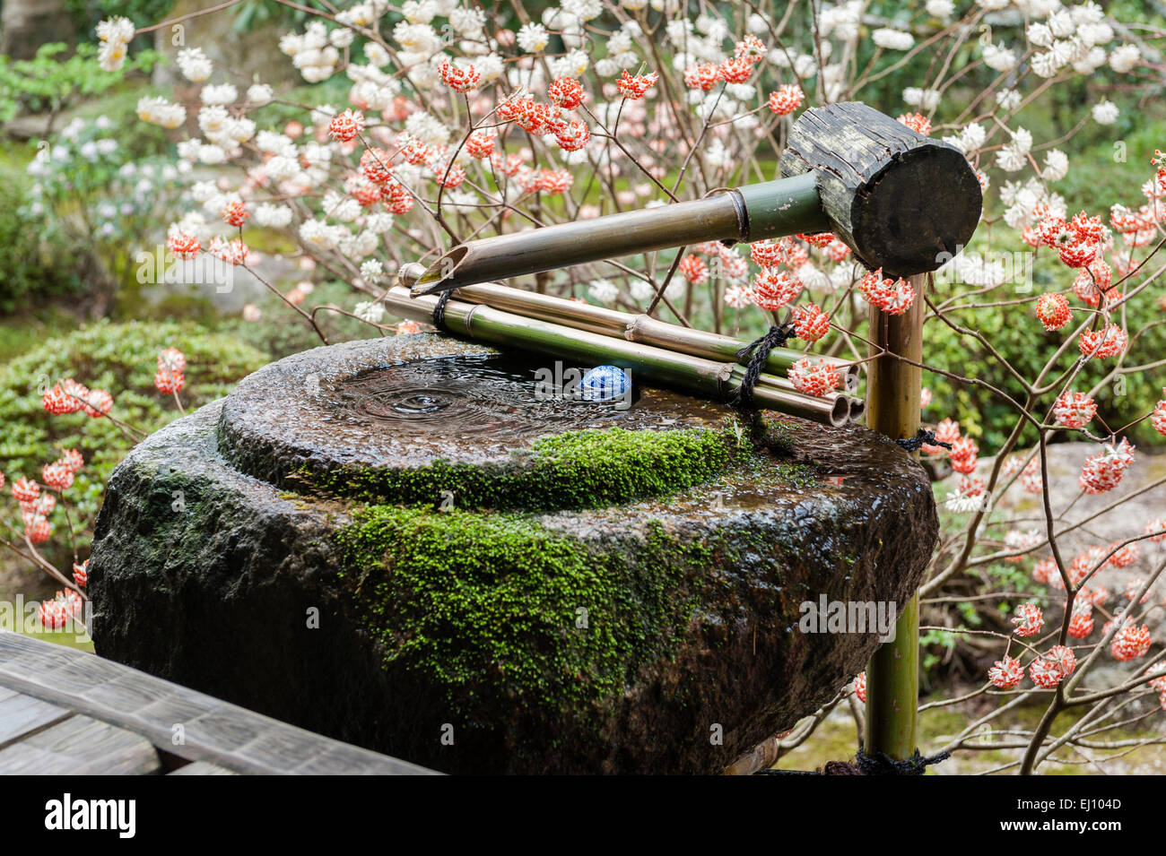 Ritual hand washing japan hi-res stock photography and images - Alamy