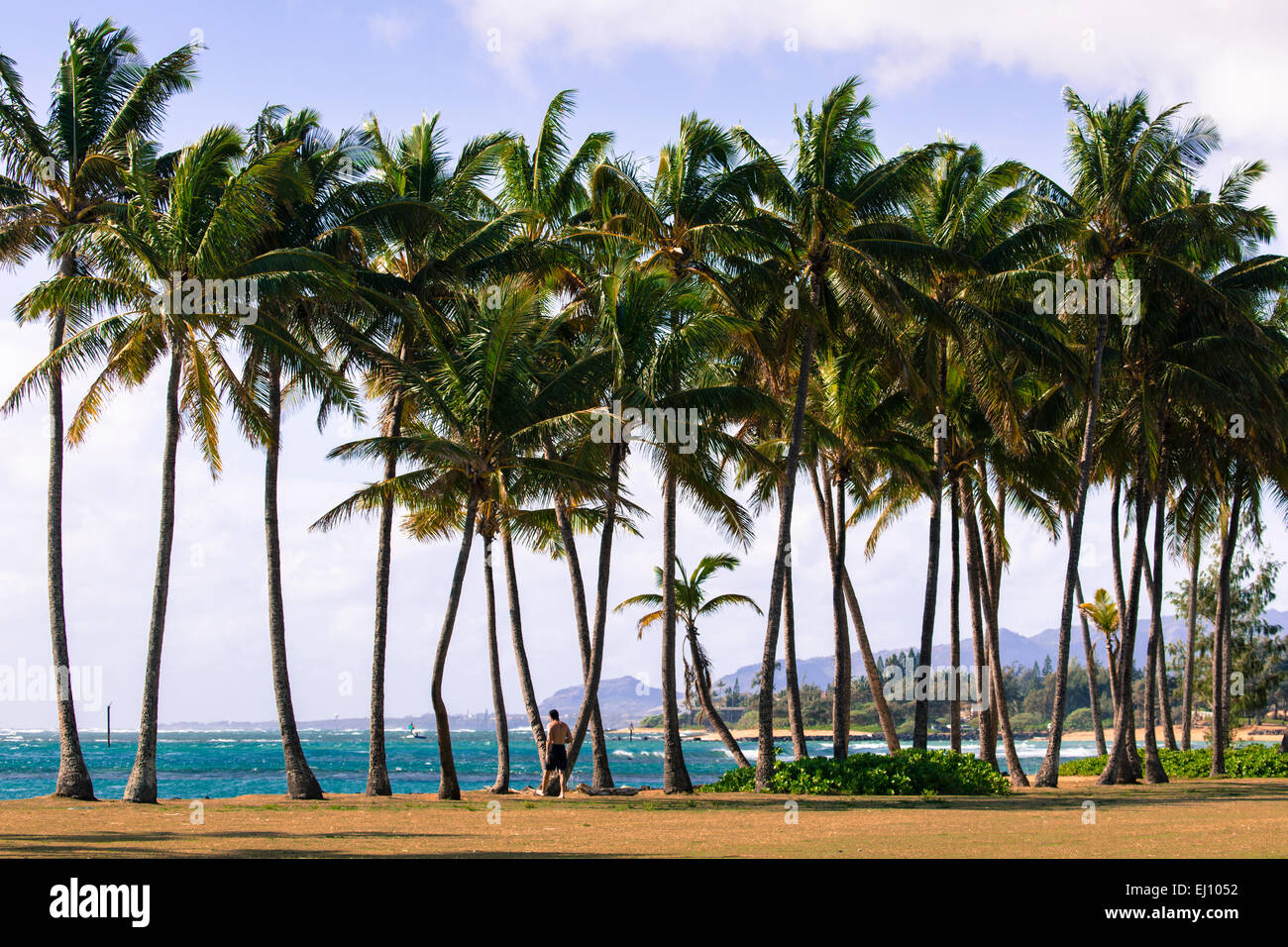 Poipu sunset with palm trees kauai hi-res stock photography and images ...