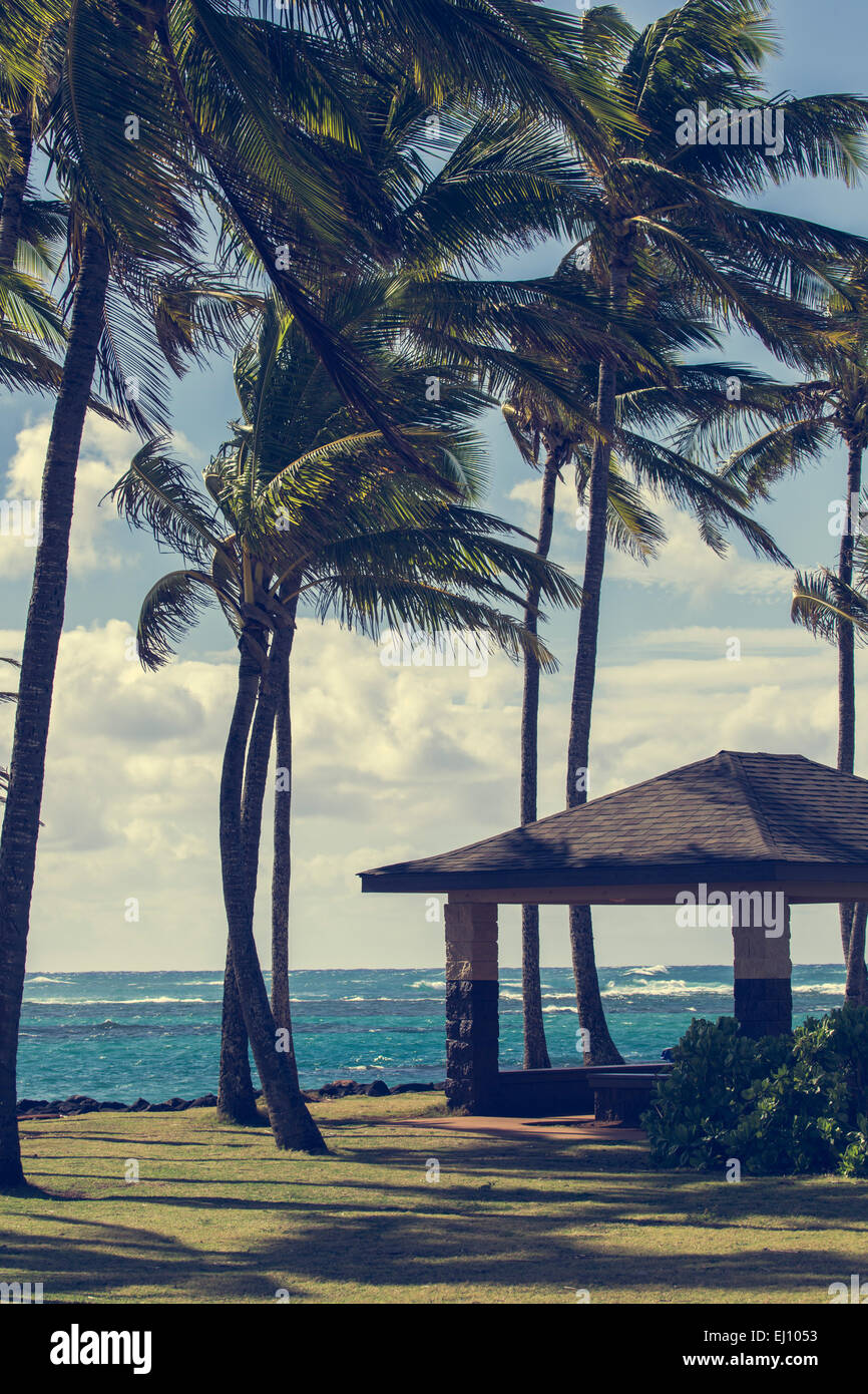 Poipu sunset with palm trees kauai hi-res stock photography and images ...