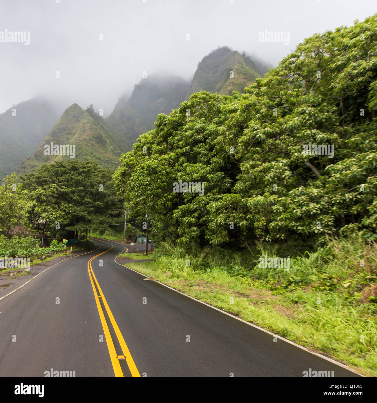 Iao Valley State Park on Maui Hawaii Stock Photo - Alamy