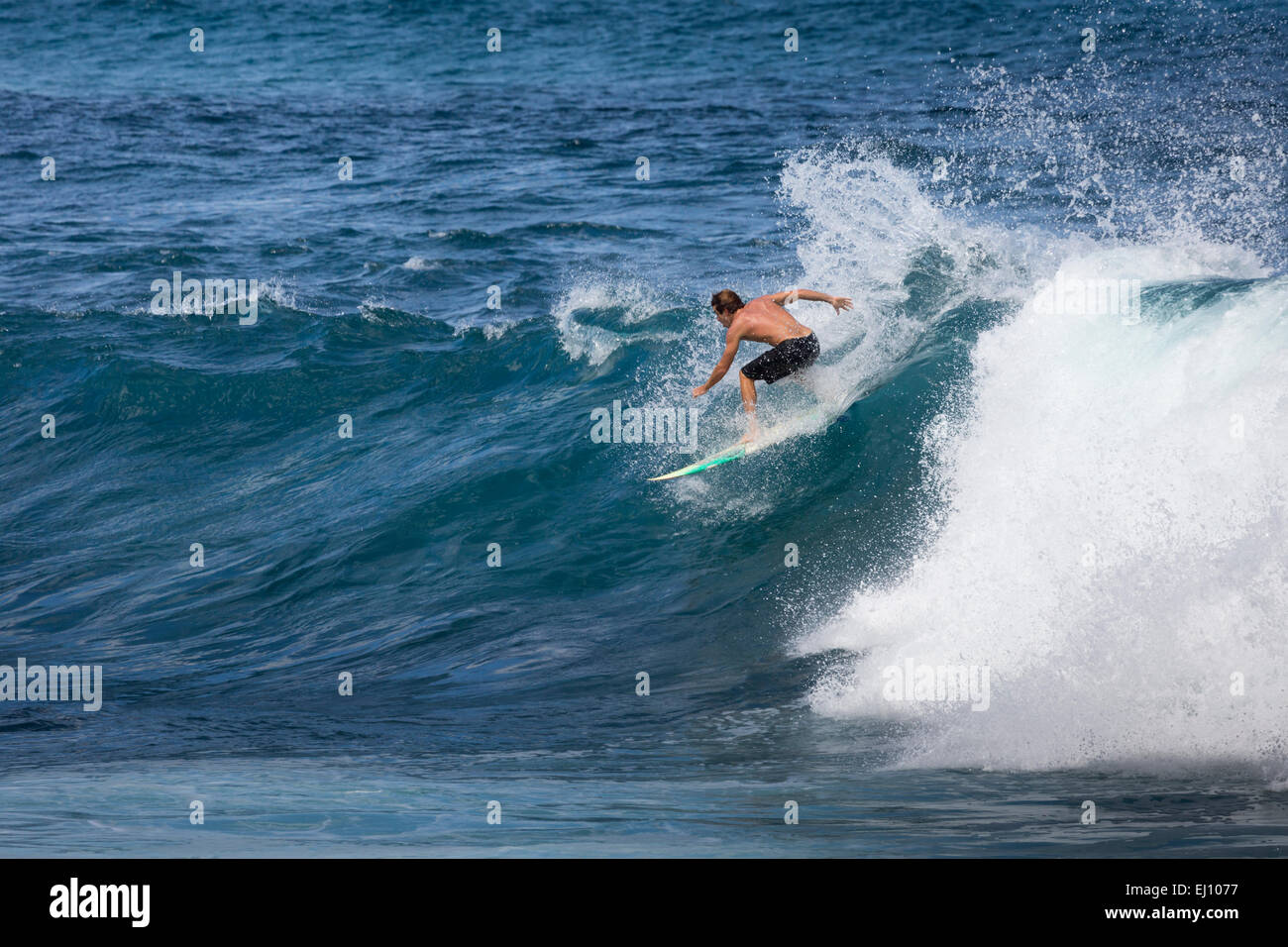 Extreme surfer riding giant ocean wave in Hawaii Stock Photo - Alamy