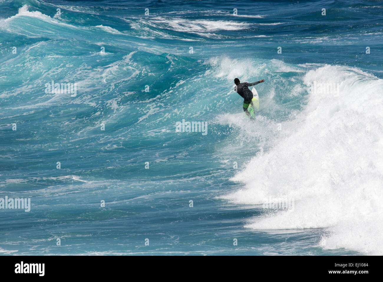 Extreme surfer riding giant ocean wave in Hawaii Stock Photo - Alamy