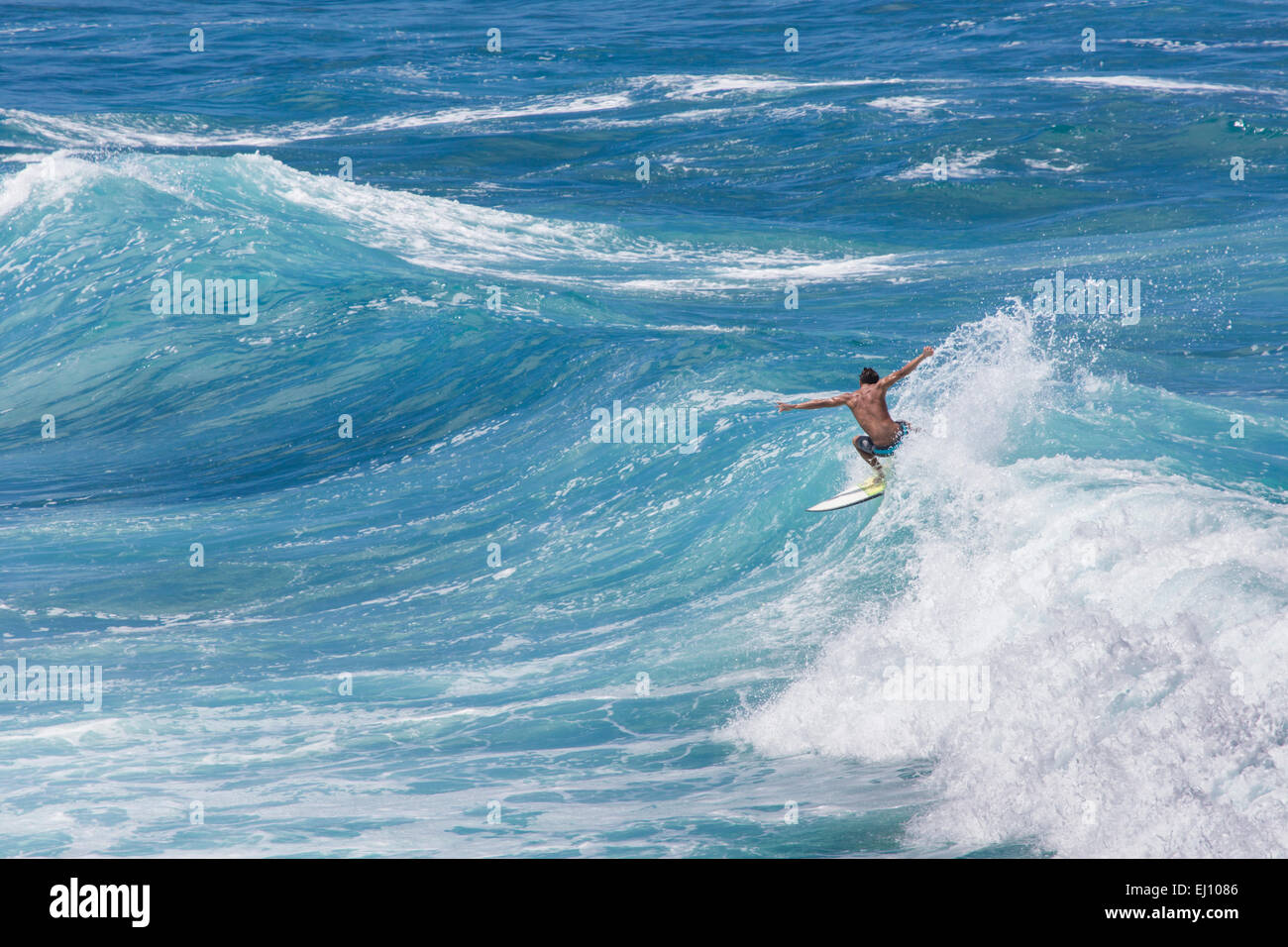 Extreme surfer riding giant ocean wave in Hawaii Stock Photo - Alamy
