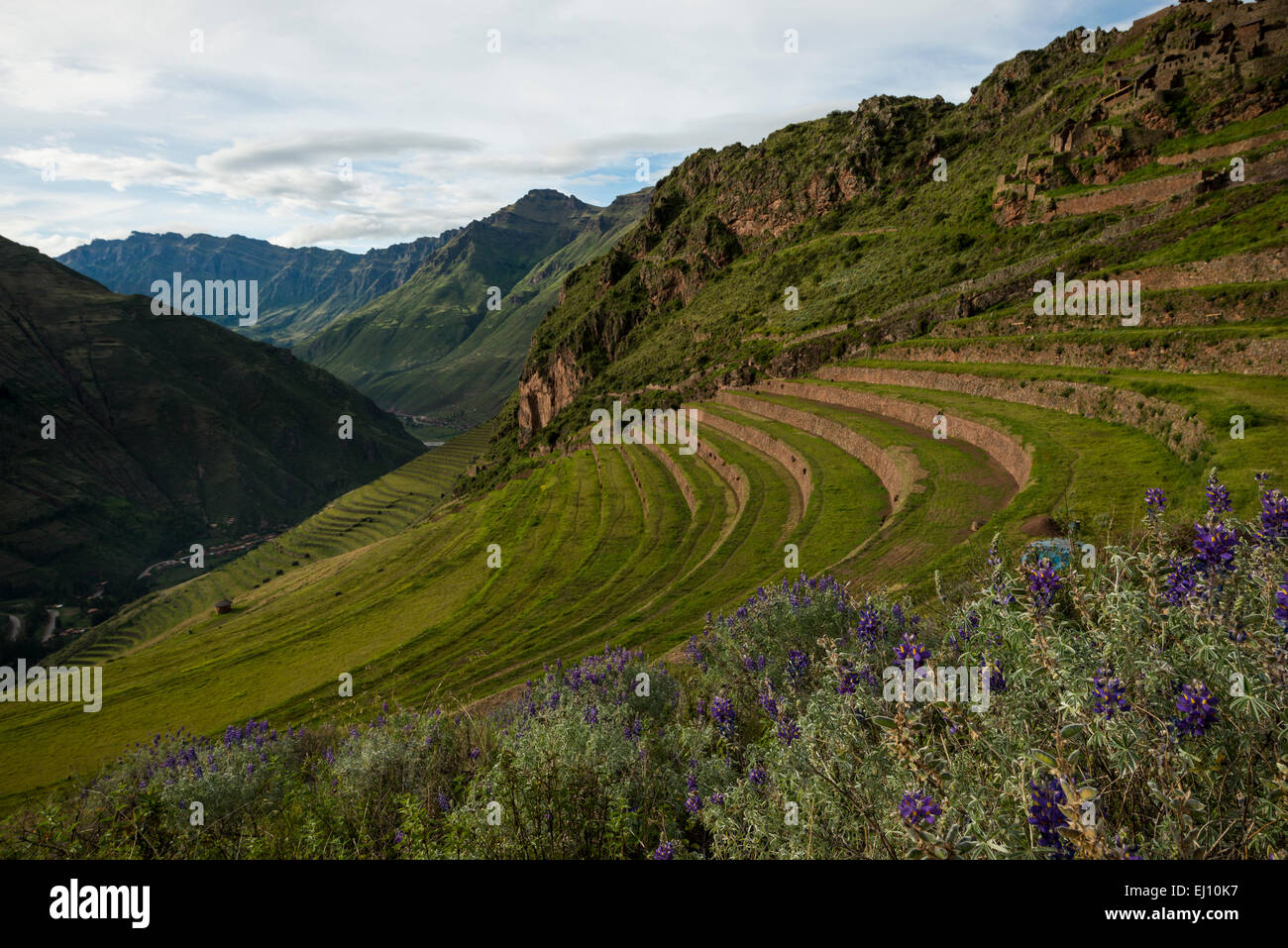 View from Inca Citadel of Pisac Ruins and traditional terraced fields ...
