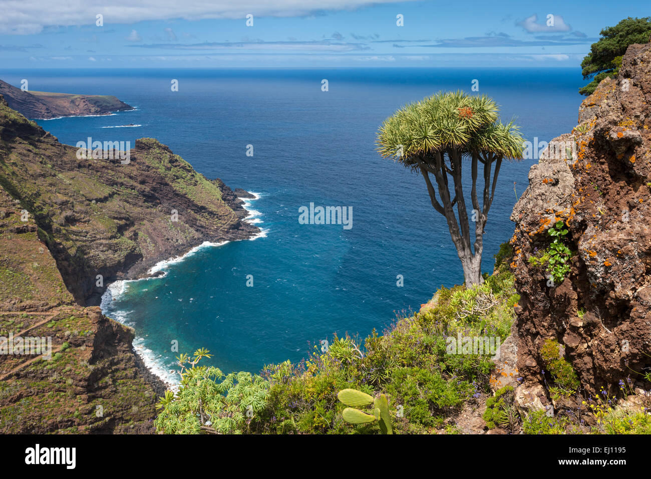 El Tablado, Spain, Europe, Canary islands, La Palma, coast, sea, dragon ...