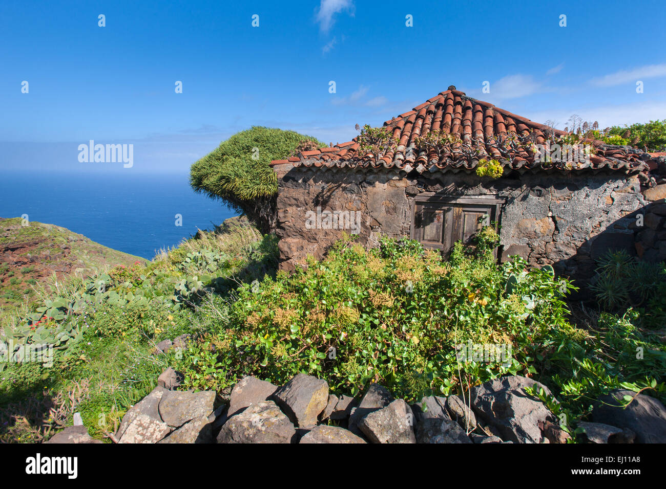 Garafia, Spain, Europe, Canary islands, La Palma, house, home, dragon ...
