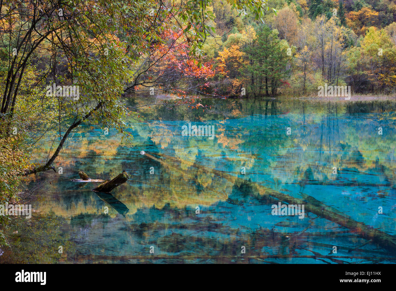 Five Flowers Lake Stock Photos & Five Flowers Lake Stock Images - Alamy
