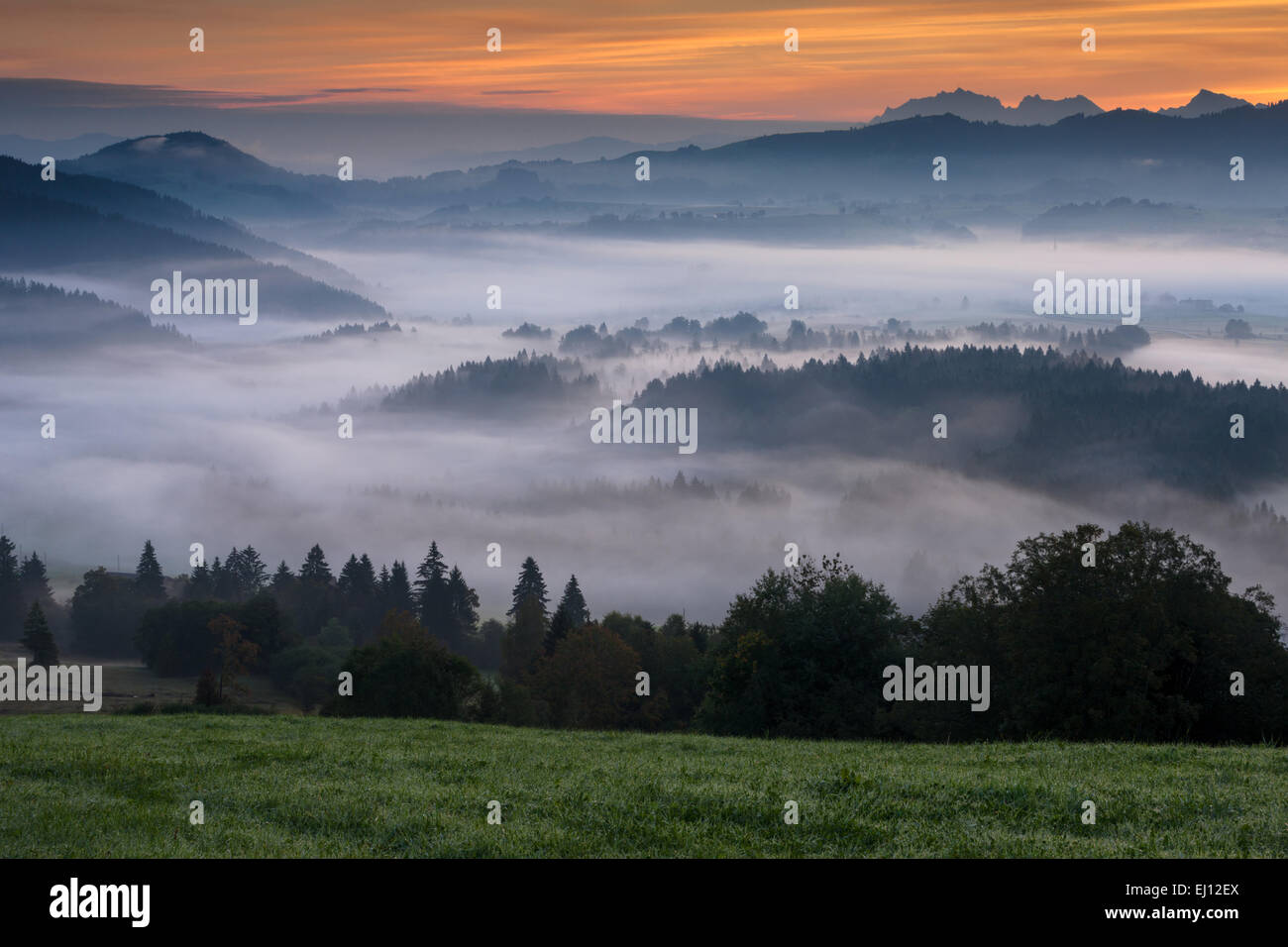 bog, Rothenthurm, Switzerland, Europe, canton Schwyz, marshy, landscape ...
