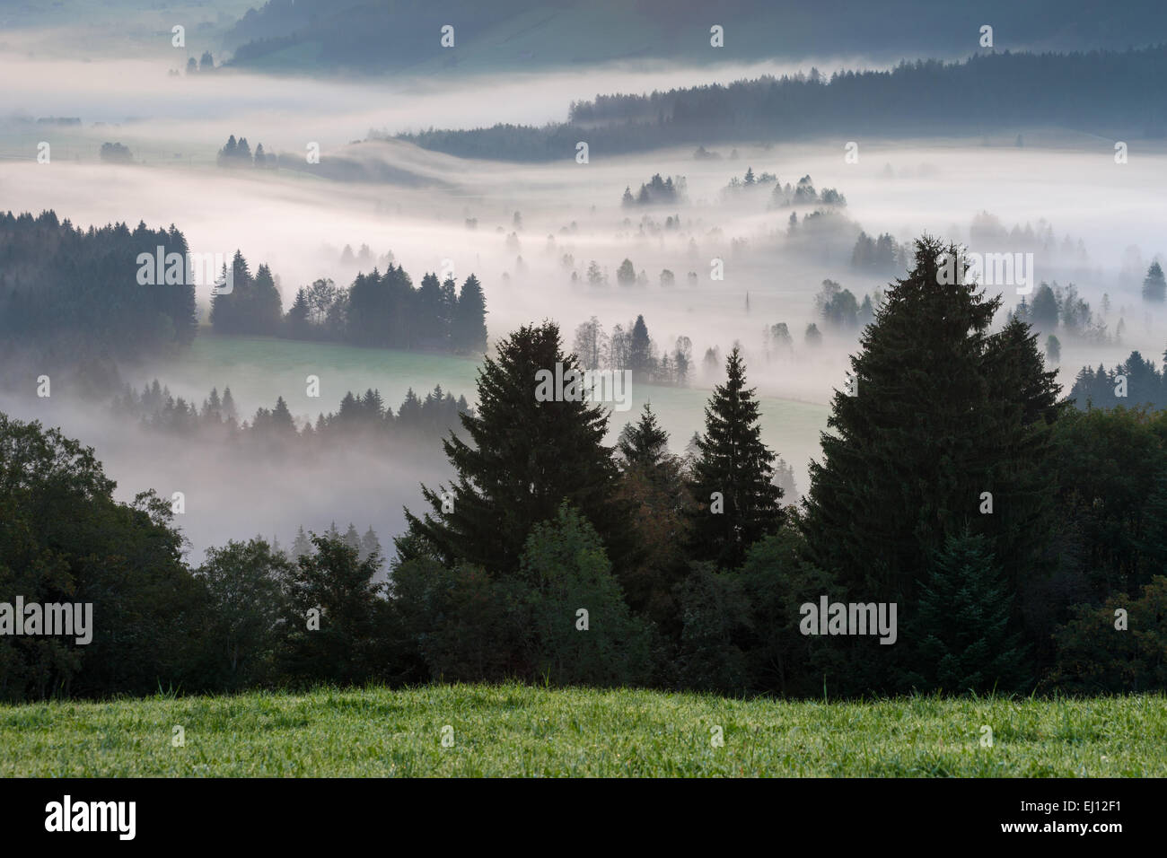 Rothenthurm hi-res stock photography and images - Alamy
