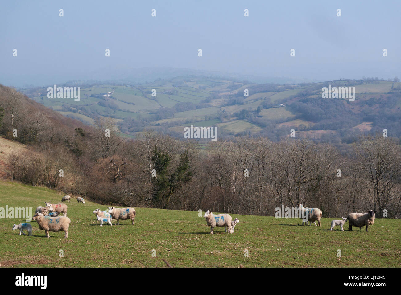 March landscape hi-res stock photography and images - Alamy
