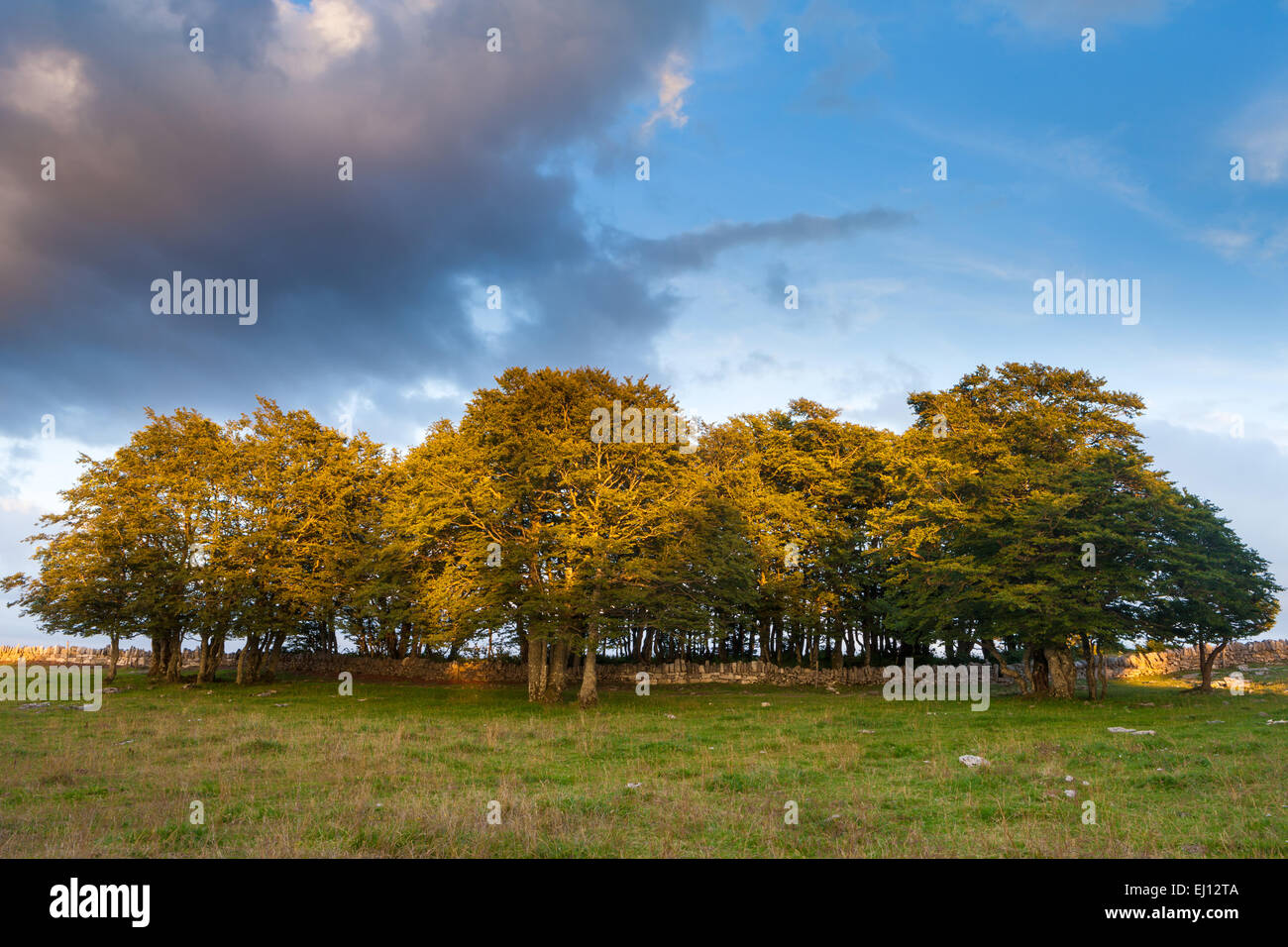 Soliat hi-res stock photography and images - Alamy