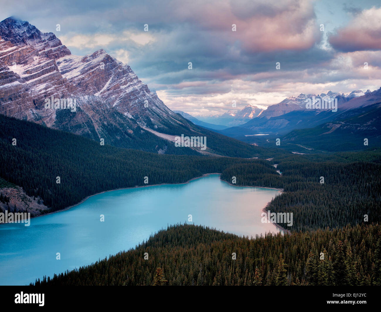 Peyto hi-res stock photography and images - Alamy