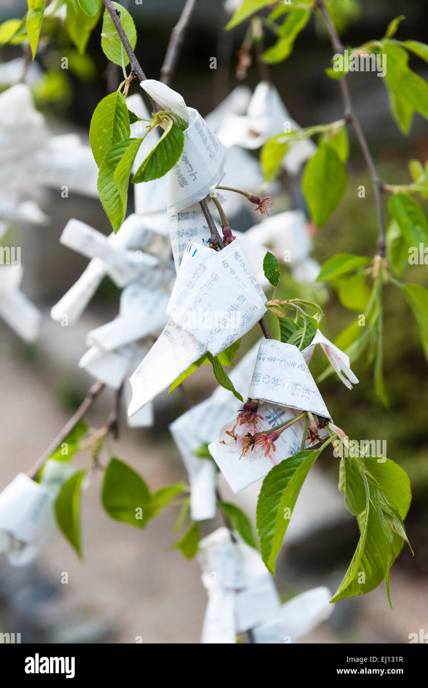 Paper Prayers Tied Tree Shinto High Resolution Stock Photography and ...
